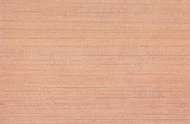 VG Western Red Cedar – Archifibe