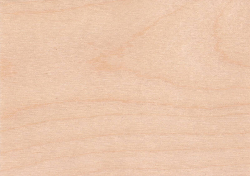 WHITE BIRCH – Archifibe